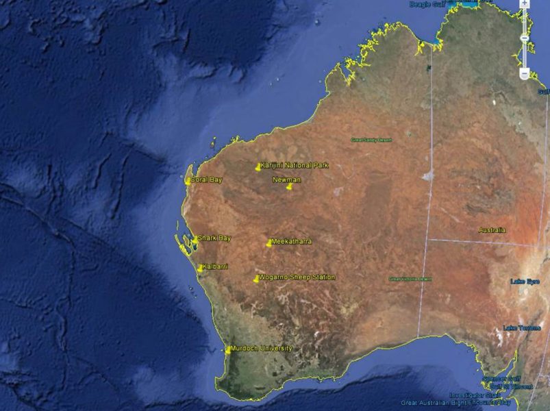10 Days in North West Australia - AIFS Study Abroad Blog