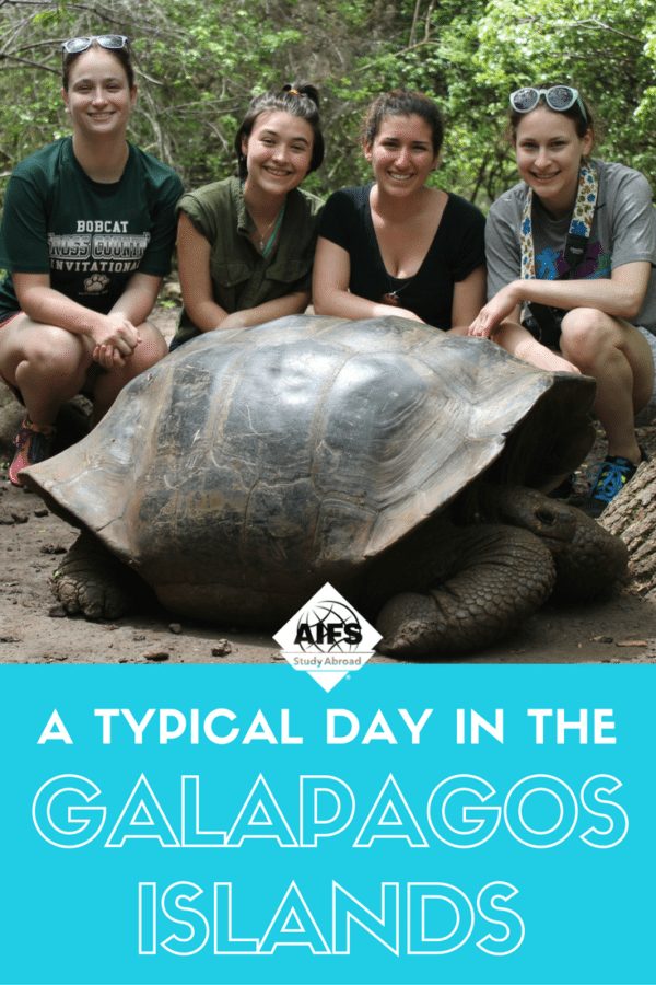 A “Typical” Day Studying Abroad in the Galápagos Islands