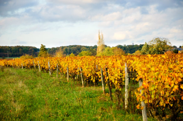 5 Incredible Places to Experience Fall Foliage in Europe
