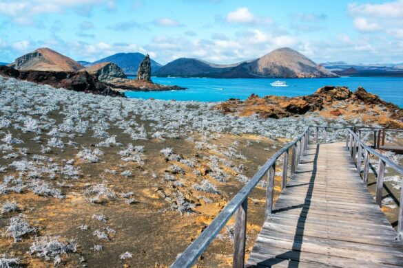 Study Abroad Application Process for AIFS: 9 Steps for Success